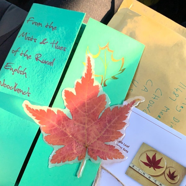 Klingon sword of Kahless Bat'leth. High Quality Hardened Steel Star ...