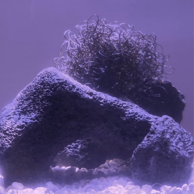 Soundrise PRO-5 Sound Absorbing Speaker Riser Stands - Etsy Canada