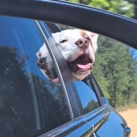 Original Vintage Photograph Val & June - Etsy Canada