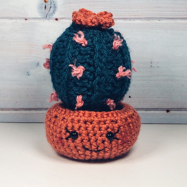 Barrel Cactus Crochet Pattern - Etsy