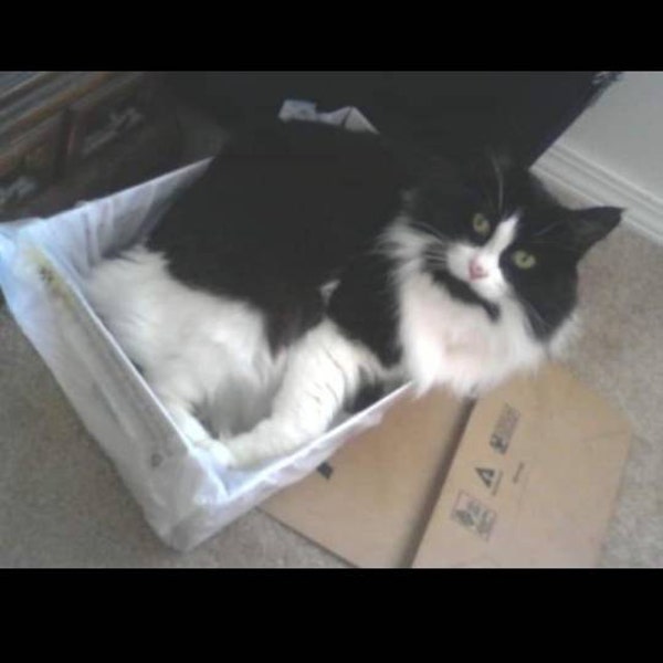 Destiny Matrix Chart, READING Matrix of Destiny, Astrology Forecast ...