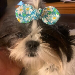 Tuxedo Dog Bandana Seersucker Pink and Blue Dog Bandana With - Etsy