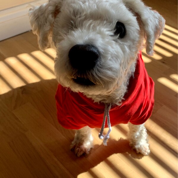 Red Dog Hoodie - Red Dog Sweater - Red Dog Jumper - Dog/puppy Clothing ...