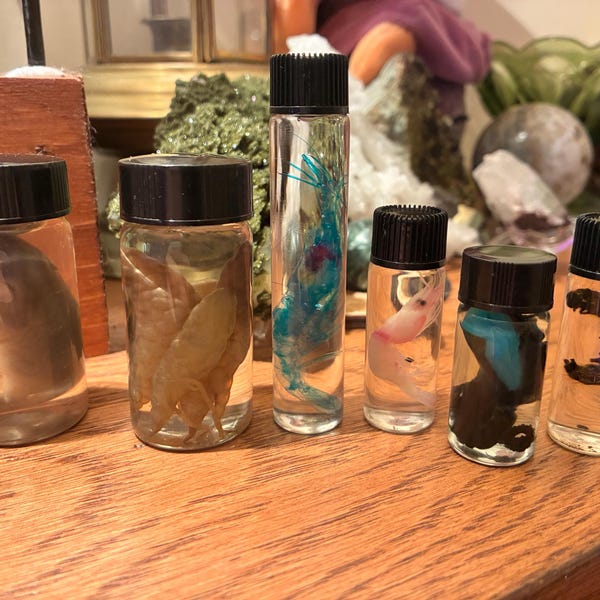 Rainbow Wet Specimens Personalized Mystery Gift Set _ Vulture Culture ...