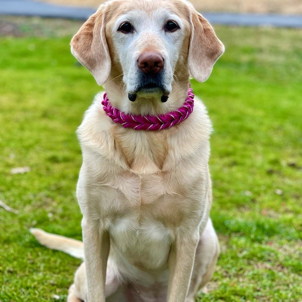 Braided Biothane Paracord Collar | Mothersday Gift| Durable Handmade ...