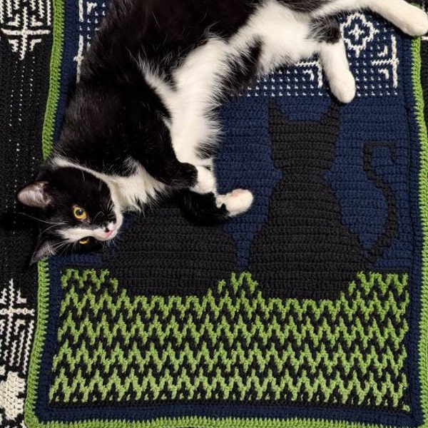 Dreamy Cat & Moon Blanket - Overlay Mosaic Crochet Pattern for Baby - Etsy