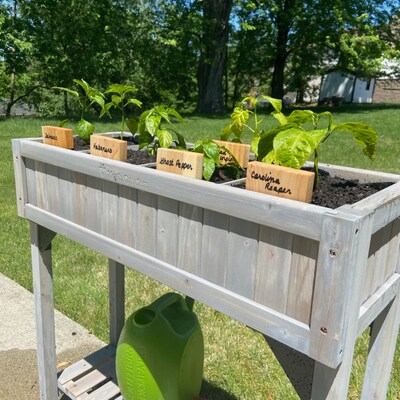 Tree Markers 3 1/2 X 1 1/2 X 3/4 Garden Fruit Tree Sign Nursery Stock ...