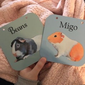 Guinea Pig Name Tag, Guinea Pig Accessories, Pet Tag, Guinea Pig ...