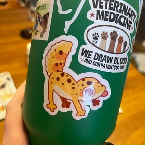 Pet Reptile Stickers full Set of 12 Matte-laminated Stickers for ...