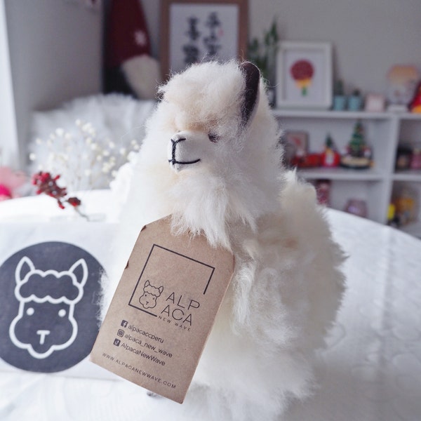 Elf's Llama Best Friend, North Pole Llama Only Christmas Decoration - Etsy