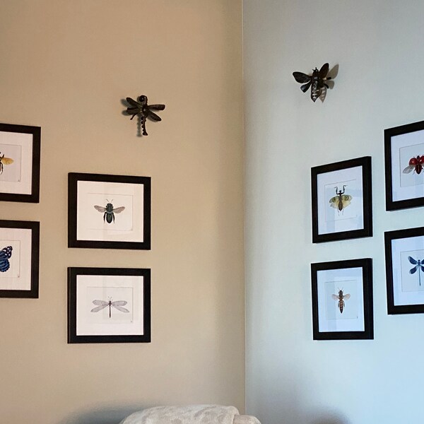 Proboscis Bat Watercolor Painting, Rhynchonycteris Naso Framed Painting ...