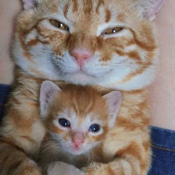 Vampire Transformation Spell | Very Powerful Vampire Spell to Make You ...