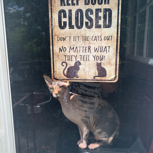 Keep Door Closed Cat Sign Funny Cat Sign Cat Decor Cat Lover Gift Yard ...