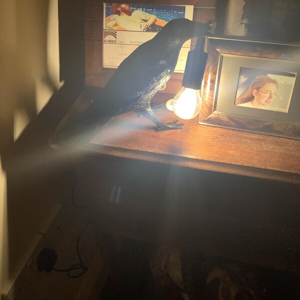 Gothic Decor, Bird Lamp Bird Decoration Crow Lamp Crow Decoration Raven ...