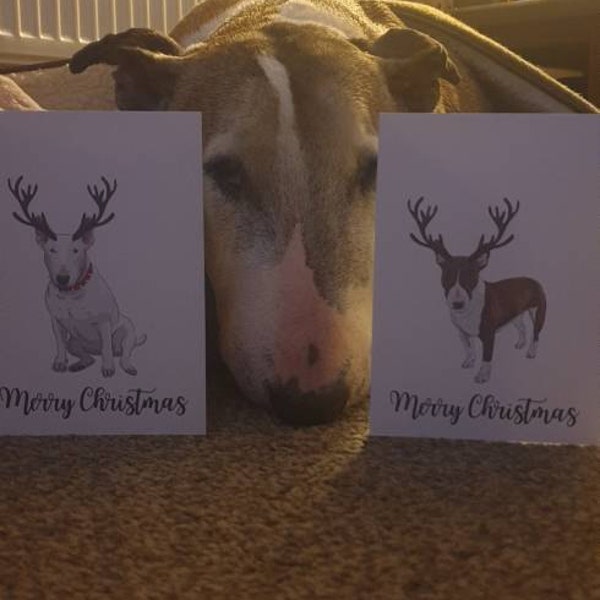 Neighbour Birthday Cards, Cards for Neighbours, Happy Birthday ...