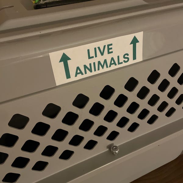 IATA Pet Stickers / IATA Required Pet Stickers / Airline Cargo Crate ...