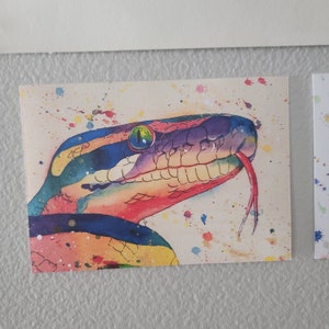 Snakes Vinyl Stickers/decals: Ball Python, Black Rat Snake, Corn Snake ...