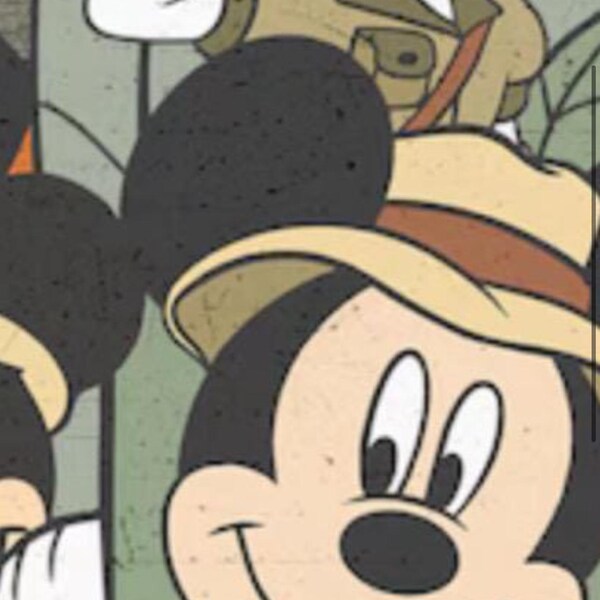 ELSA & ANA FROZEN Tank, Disney Inspired Tank, Retro Floral Shirts ...