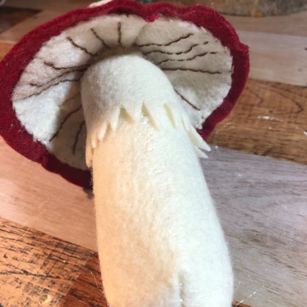 PDF Sewing PATTERN - Toadstool Sewing Pattern – DIY Embroidery Sewing ...