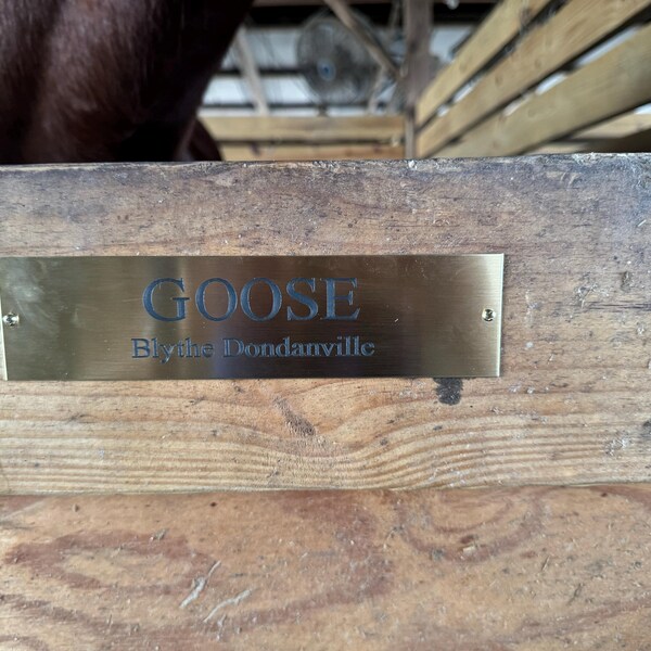 Solid Brass Stall Board or Tack Trunk Name Plate- 2" X 8"- Rectangular ...