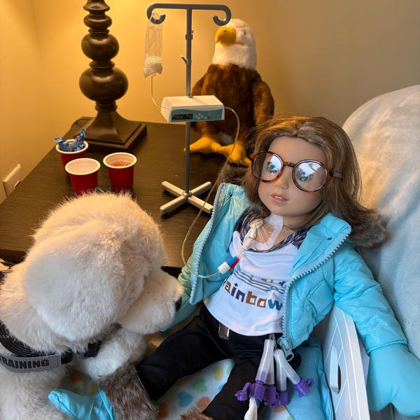Toy Hospital Play System for Dolls and Stuffed Animals. Toy Infusion ...