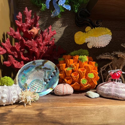 Sage Kit 9 Spiritual Smudge Kit Gifts for Cleansing: White - Etsy