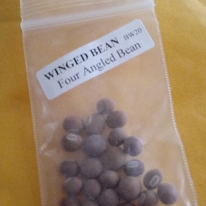 20 WINGED BEAN Seeds Asparagus Pea, Wing Pea, Four Angled Bean Dara ...