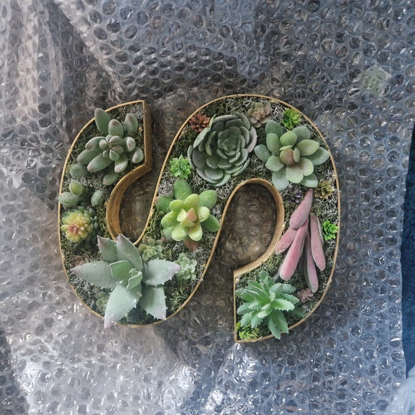 Ivory Wedding Decor, Giant Ivory Letters, Large Cream Name Sign - Etsy