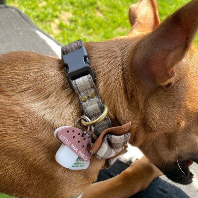 Frosted Dog Tag Personalized Dog Tag Dog Id Tag Cat Name - Etsy