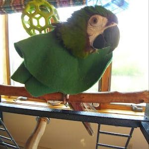 Parrot Extra Coverage Clothing, Specifically for Birds That Pluck and ...