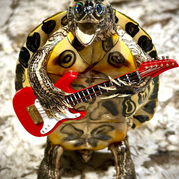 Full Body Turtle Taxidermy- French Horn-playing Tortoise Mariachi Toad ...
