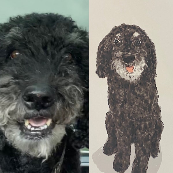 Sheepadoodle Illustration / Doodle Dog Drawing / Pet Lovers Gift / Life ...