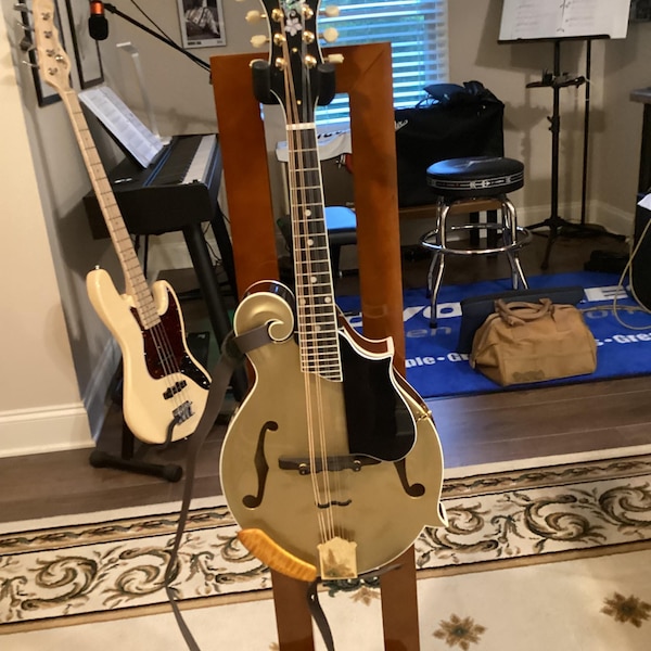 Premium Instrument Case Stand for Guitar, Violin, Mandolin, Banjo ...