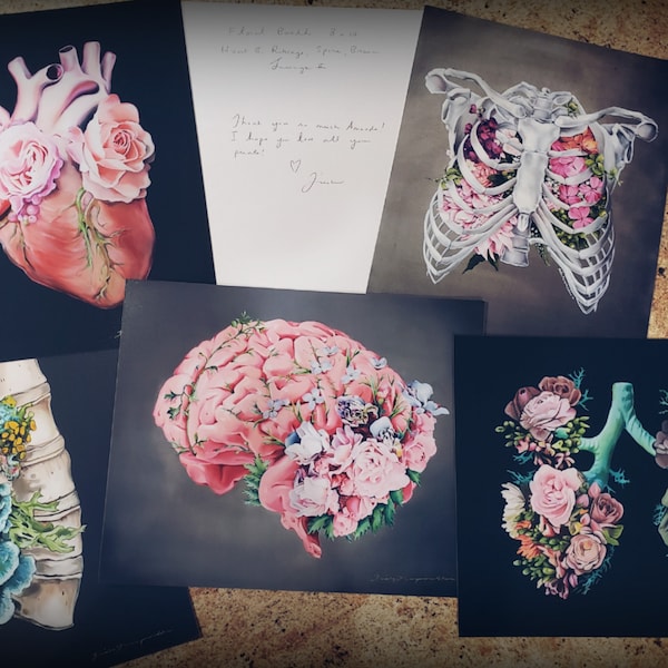 You Choose 5 Print Bundle - Anatomical Art Prints - Human Body ...