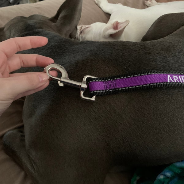 Custom Reflective Personalized Embroidered Dog Leash - Etsy
