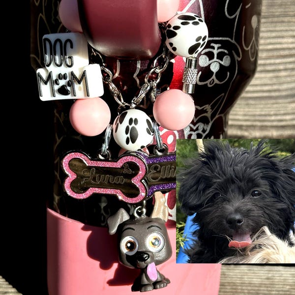 Lotso the Bear From Toy Story Glitter Keychain Doorables - Etsy