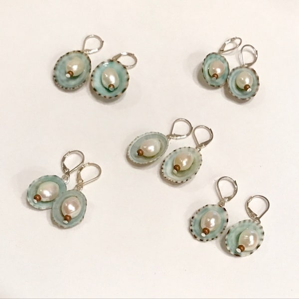 Beach Decor Blue Green Limpet Shells (25) - Seashell Supply - Coastal ...