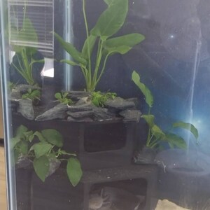 Skeleton Human Hand right Hand Prop Sculpture | Etsy