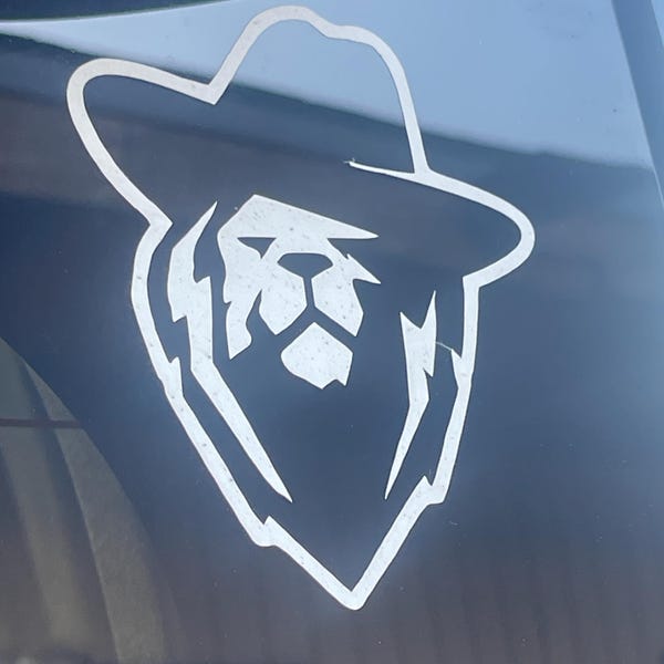 Real Anatomically Correct Red Heart Cardiology Decal Sticker for Cars ...