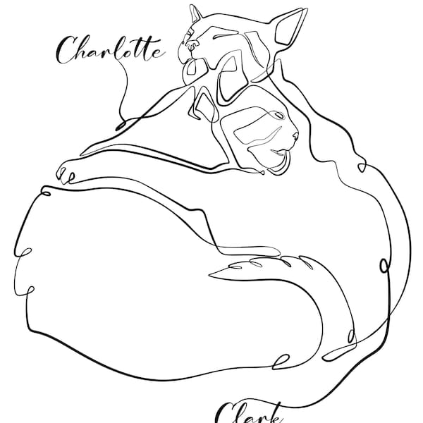 8K Enhanced Ultrasound: From Bumps to Realistic Faces | Precision 3D/4D ...