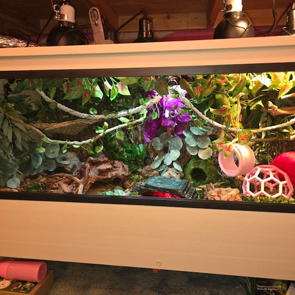 GECKO or FROG Tire Swing, Swinging Ledge Platform, Crested Gecko ...