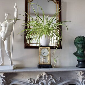 Alexander the Great 338BC Ancient Copy choosable Size - Etsy