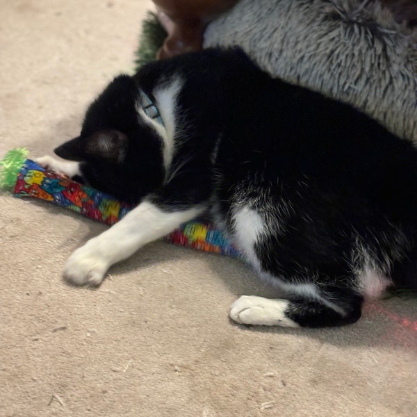 Heavy Duty Kick Sticks, Kick Sticks, Kitty Kickers, Catnip Toys, Cat ...