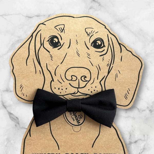 Printable Dachshund Pet Collar DIY Display Card Dog Accessory Display ...