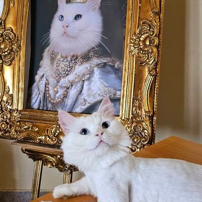 Custom Royal Cat Portrait, Renaissance Cat Painting, Pet Lovers Gift ...