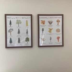 Pacific Northwest Trees Art Print / Washington State Art / Trees Art ...