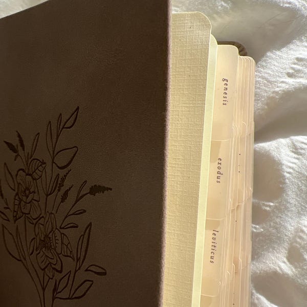 MINI Catholic Minimalist Bible Tabs | Vellum | Beautiful, Simple Cute ...