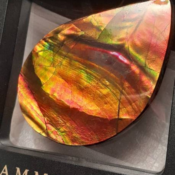 Ammolite Triplet AAA, Ammolite, Ammolite Stone, Ammolite Gemstone ...