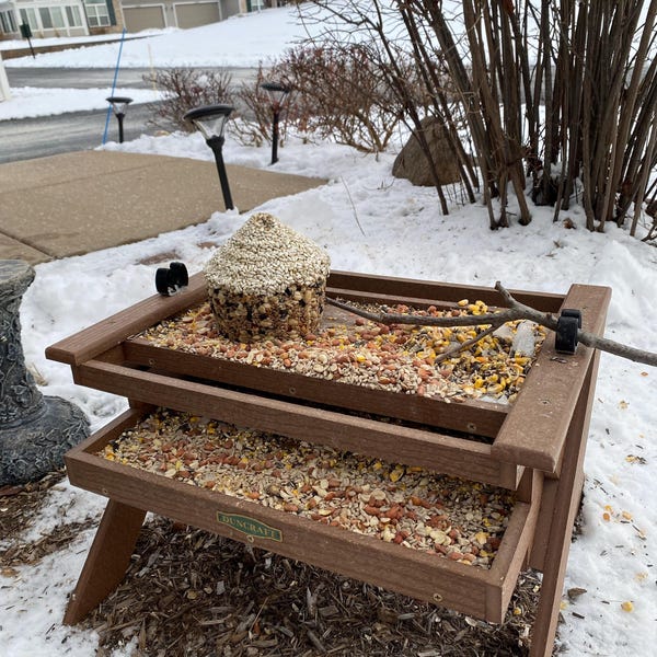 Solitary Bee House for Native Bees Flower Design Made From Tennessee ...