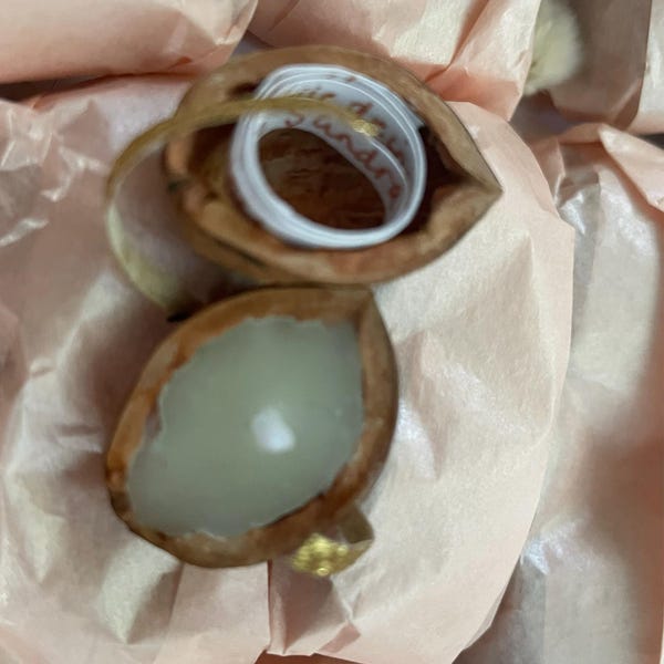 DIY Walnut Advent Calendar: 24 Matching Walnut Pairs (48 Shells ...